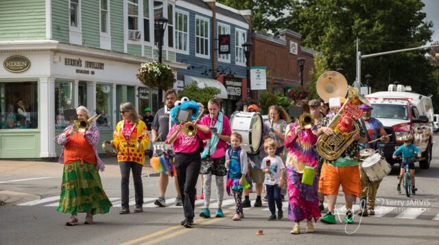 Festival 2025 | Deep Roots Music Cooperative